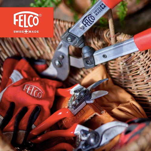 Screen_Shot_2017-08-19_at_3.26.27_PM_95946bc2-a741-42d1-80df ...