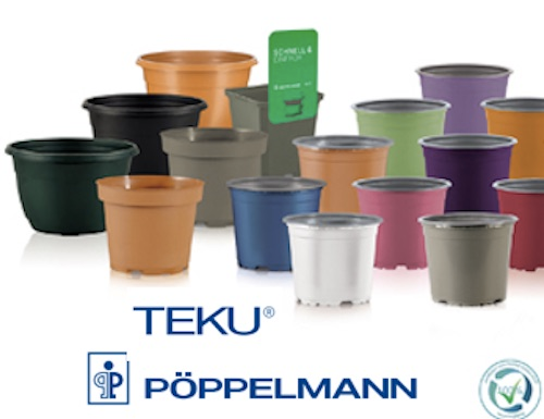 TEKU.png?v=1652868221